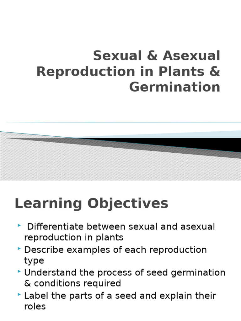 Plant Reproduction Sexual and Asexual Reproduction in Plants and ...