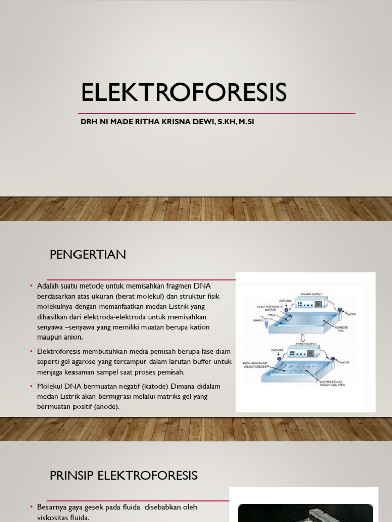 Metode Pemisahan DNA dengan Elektroforesis | PDF