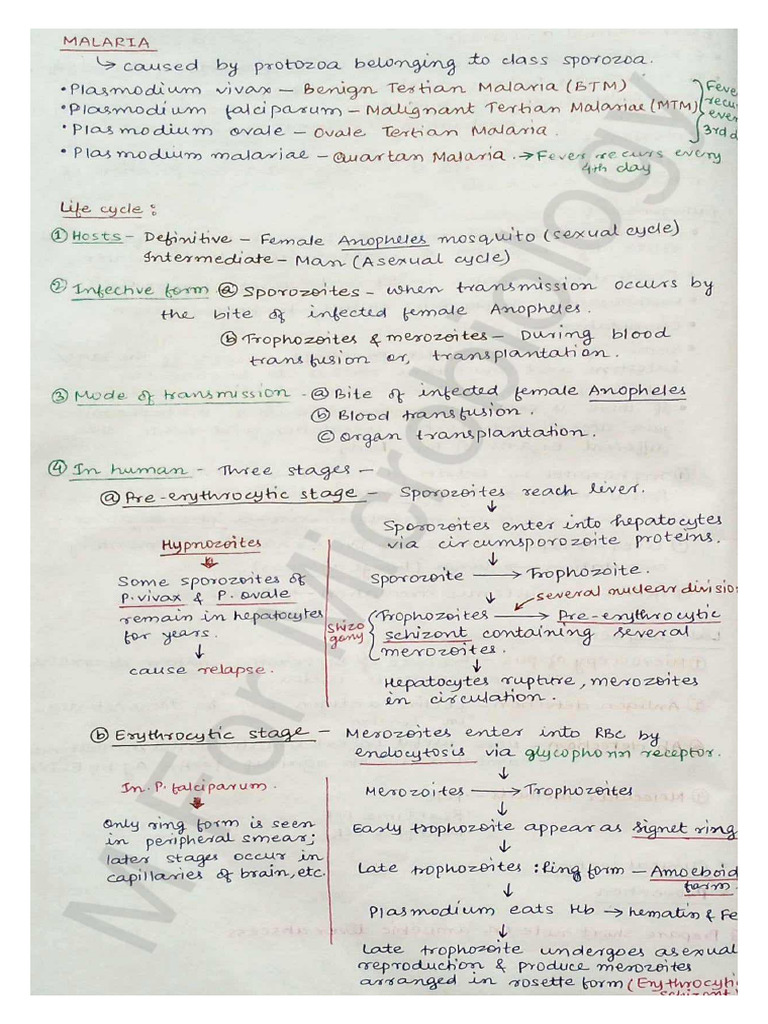 8) Malaria 1 | PDF