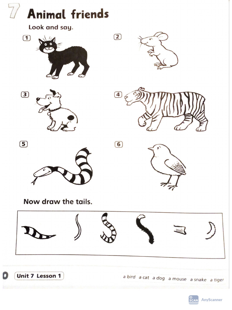 HH1 Unit 7 Animals | PDF