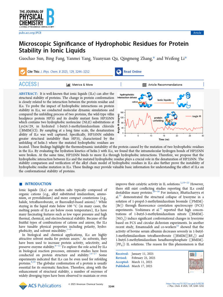 Hydrophobic Residues Impact Protein Stability | PDF | Hydrogen Bond ...