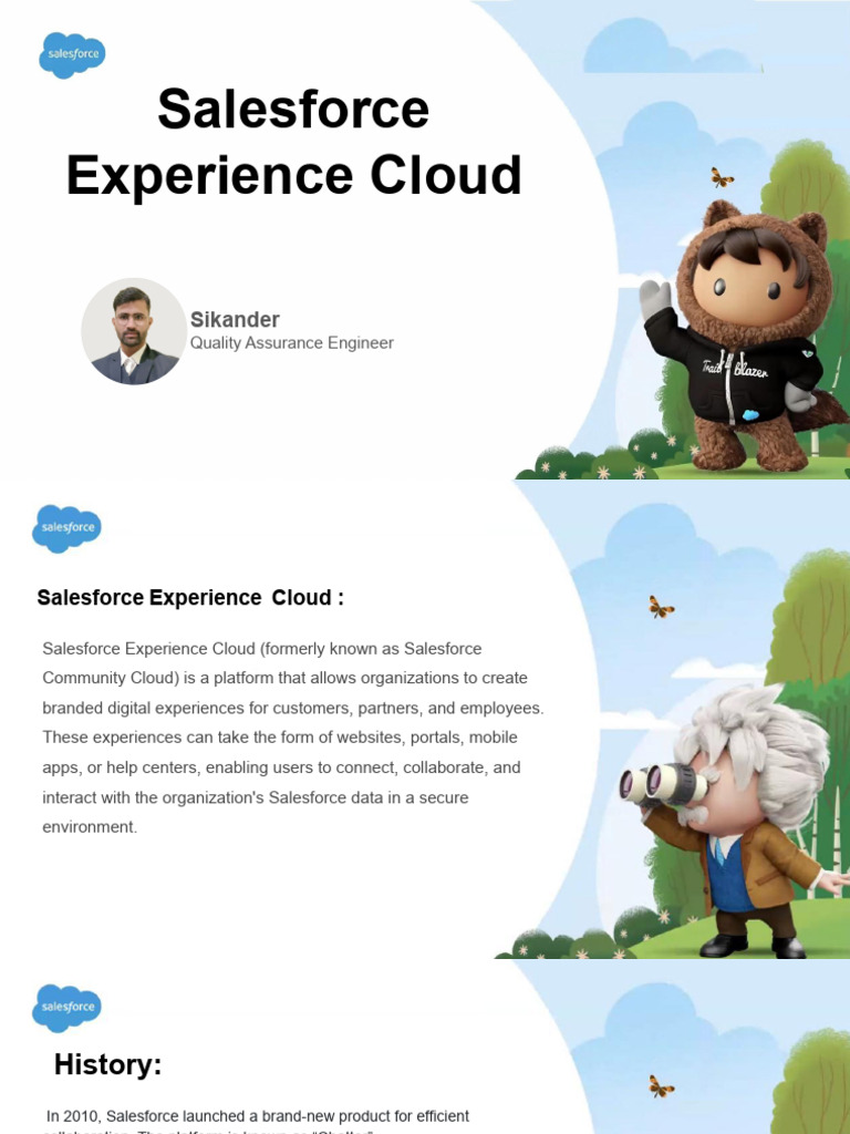 Salesforce Experience Cloud | PDF | Cloud Computing | Internet
