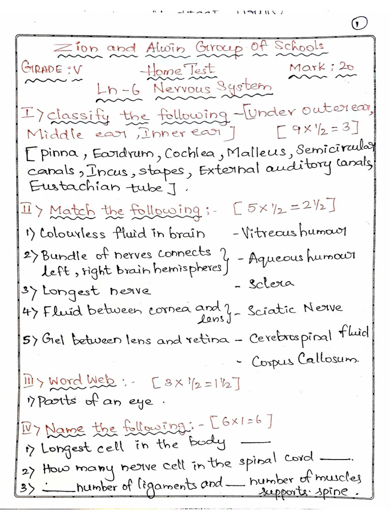 Grade - V LN - 6 | PDF