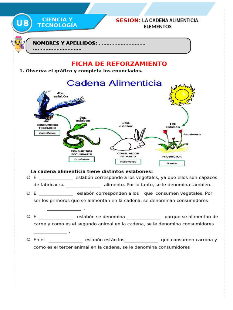 Ejemplo de carroñero en la cadena alimenticia | PDF | Red alimentaria ...