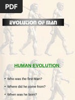 Human Evolution Chart | PDF | Homo | Human Evolution