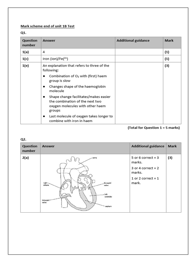 End of Unit 1B Test Mark Scheme | PDF