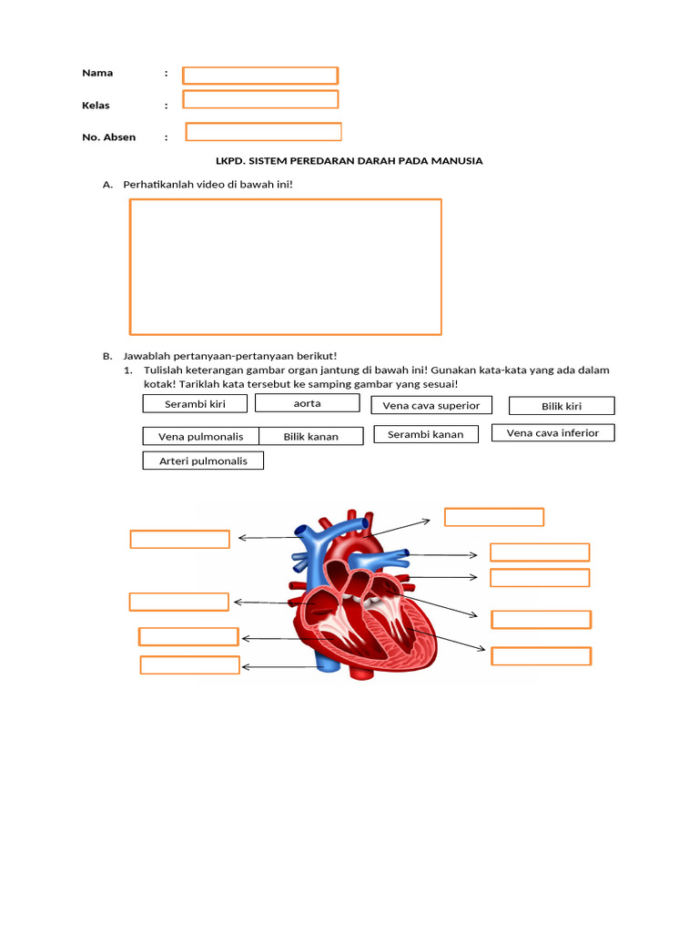 LKPD1 Peredaran Darah Liveworksheet | PDF
