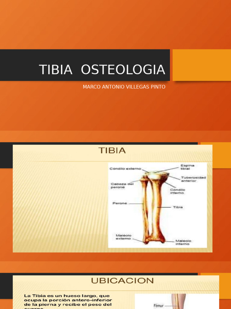Tibia y Perone | PDF