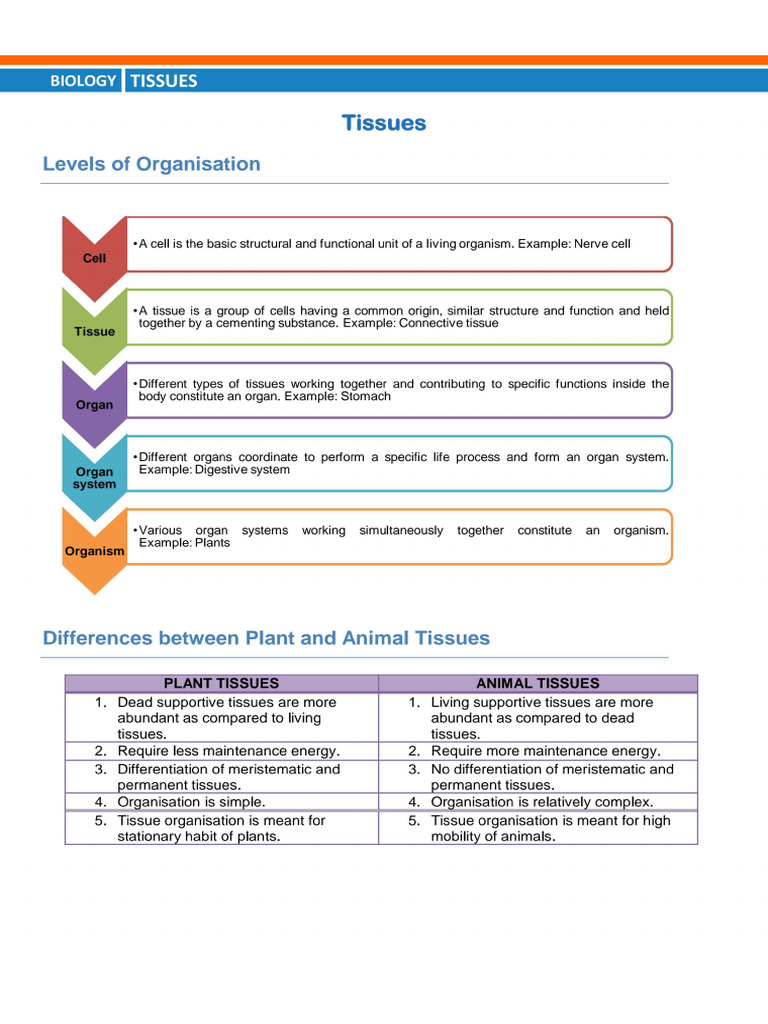 Bio tissue class 9 | PDF