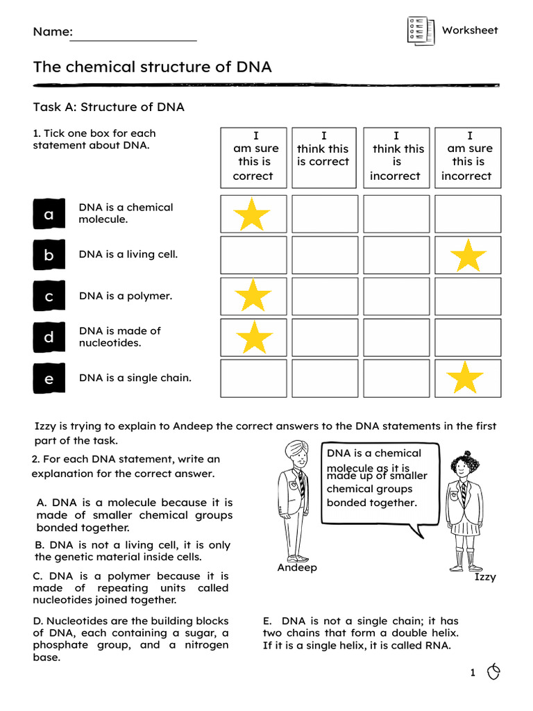 The Chemical Structure of DNA - Worksheet-Questions PDF | PDF | Dna ...