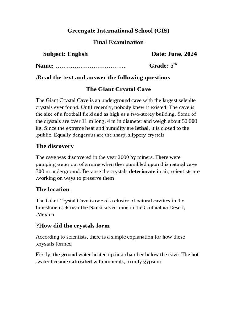 2024 Fifth Grade English Exam Paper | PDF | Syntax | Linguistic Morphology