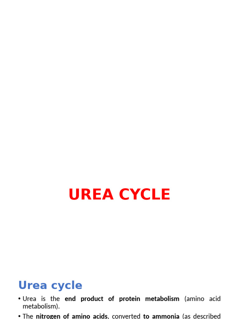Urea Cycle | PDF