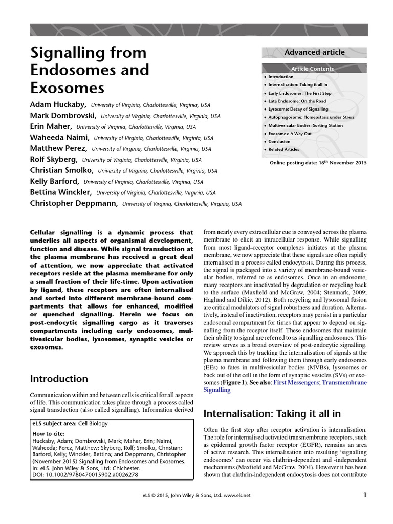 Endosomal and Exosomal Signaling Insights | PDF | Cell Signaling | Lysosome