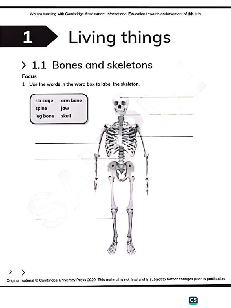 Science Unit 1 (1.1+1.2) | PDF