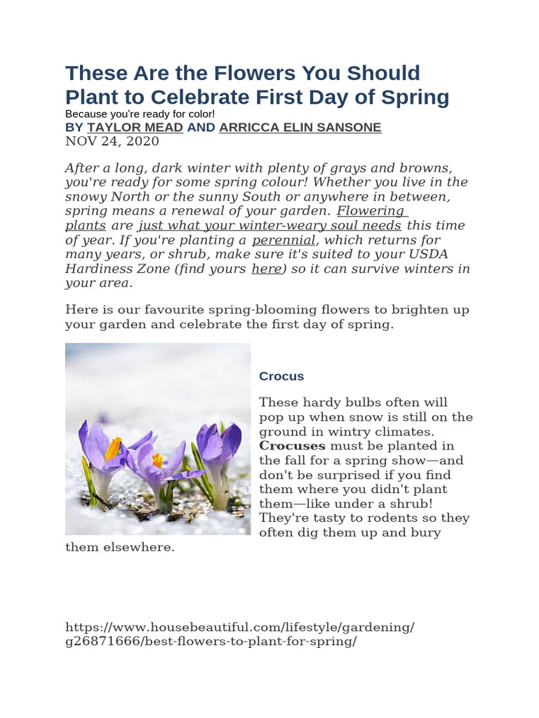 Spring Flowers | PDF