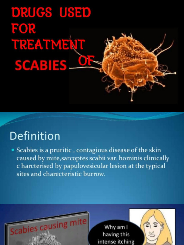 Anti Scabies | PDF | Human Diseases And Disorders | Dermatology
