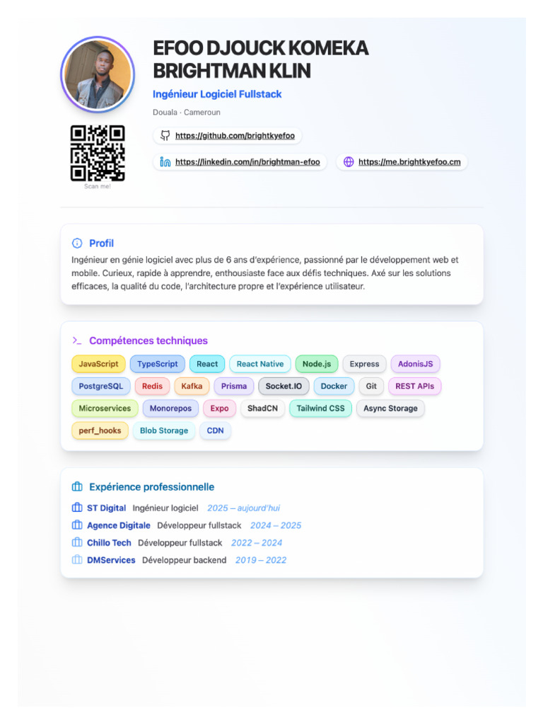 CV Bright 2 | PDF