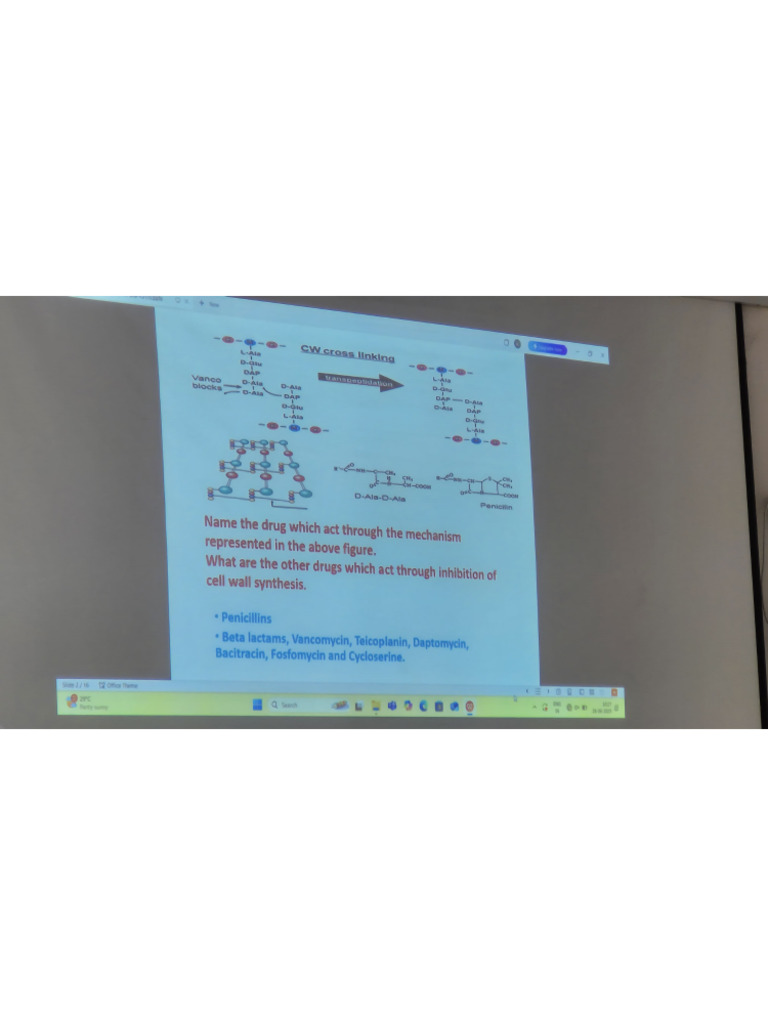 Moa Pdf