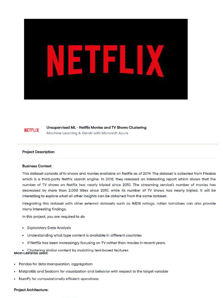 Netflix PPTM | PDF