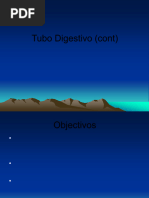 Estrutura e Funções do Peritônio | PDF | Estômago | Abdômen