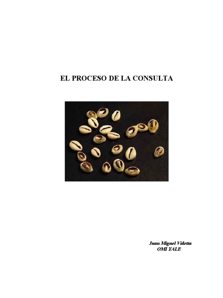 El Proceso de La Consulta | PDF