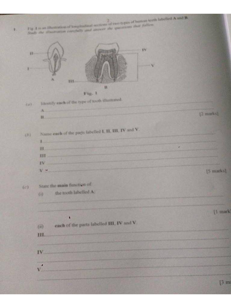 Wassce 2025 Integrated Science Practical Trial | PDF