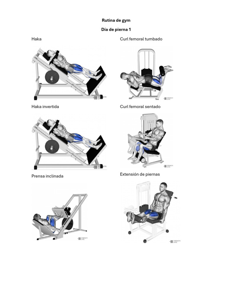 Gym - Pierna Mujer | PDF