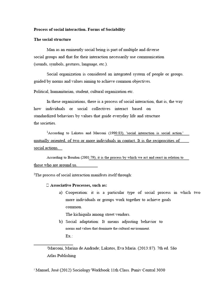 Process of Social Interaction | PDF | Feeling | Value (Ethics)