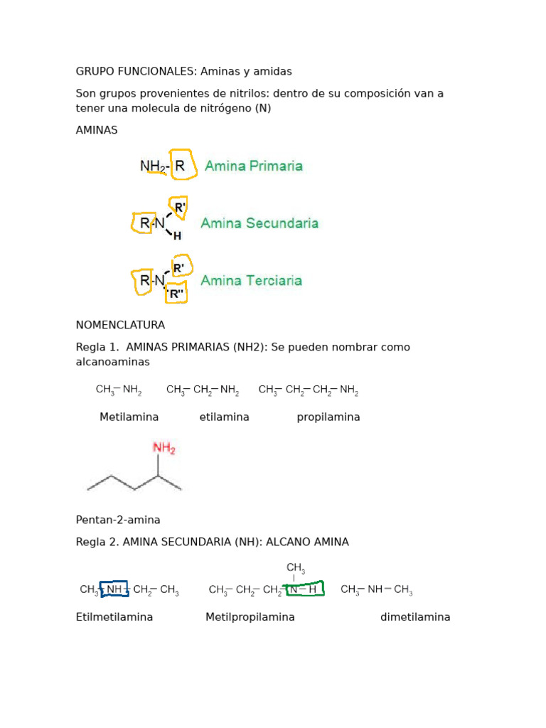 Grupo Funcionales_aminas y Amidas | PDF