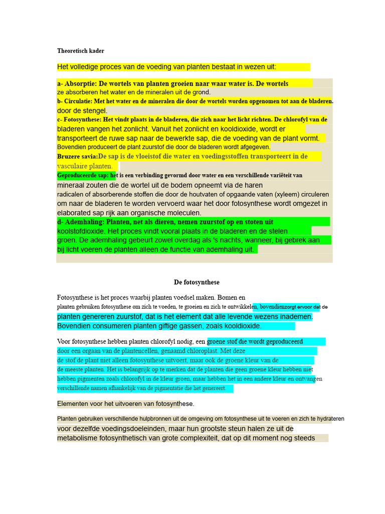 Theoretisch Kader Fotosynthese | PDF