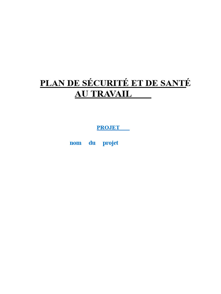 Modèle de Plan de Sécurité | PDF | Sécurité | Gestion des risques