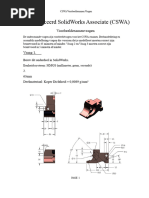 CsWa Voorbeeld Examen Vragen | PDF