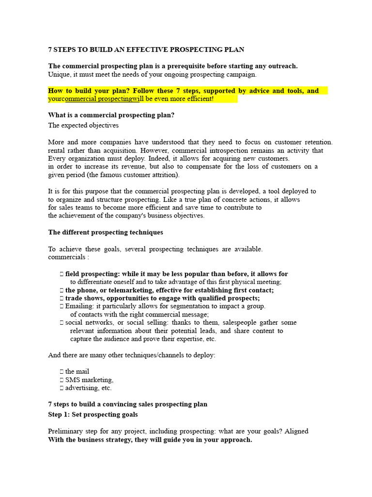 Effective Prospecting Plan Guide | PDF | Sales | Marketing