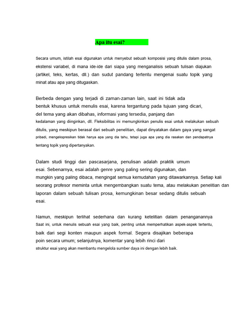 Panduan Lengkap Menulis Esai Efektif | PDF