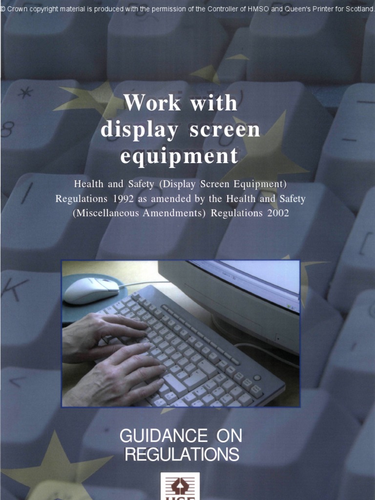 L26 Work With Display Screen Equipment | PDF | Occupational Safety And ...