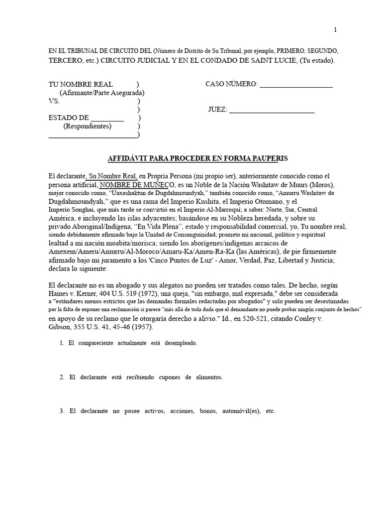 Muestra de Declaración Jurada para Proceder en Forma Pauperis | PDF