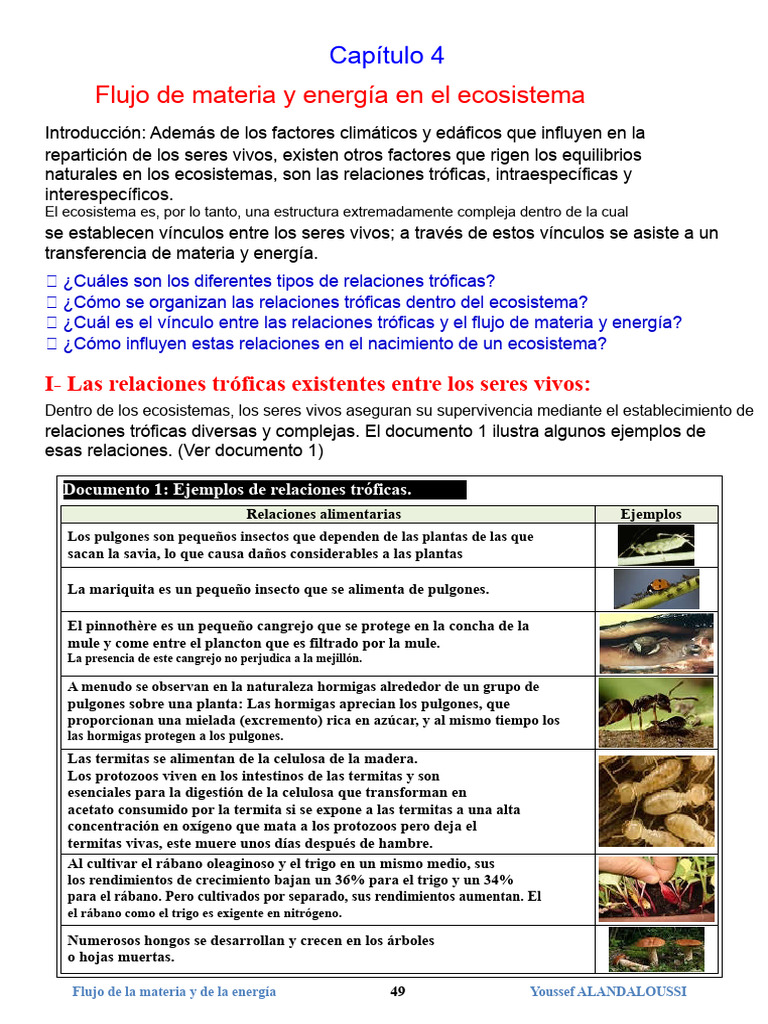 Flujo de La Materia y de La Energía en El Ecosistema Curso 1 | PDF ...