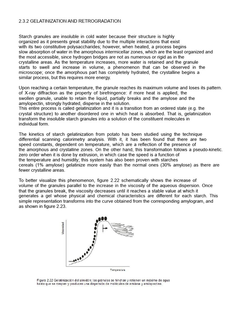 Gelatinization and Retrogradation of Starch | PDF | Starch | Materials ...