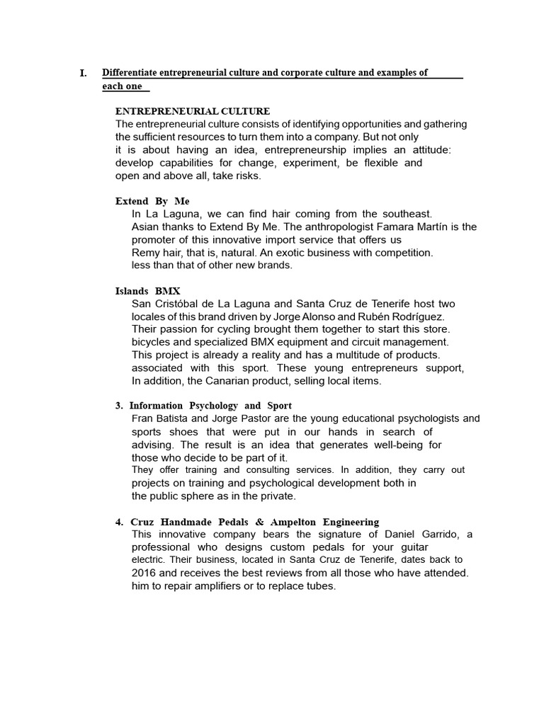 Entrepreneurial vs. Corporate Culture Explained | PDF ...