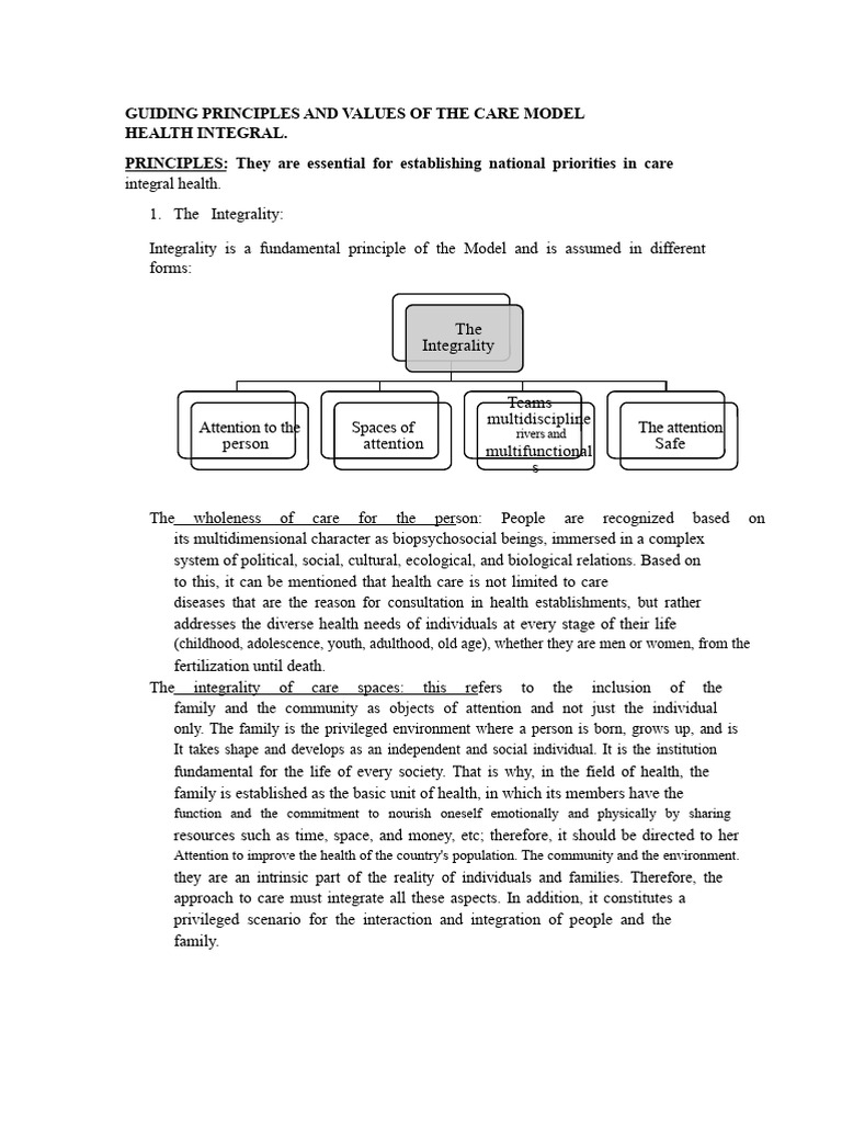 Integral Health Care Principles and Values | PDF | Health Care ...