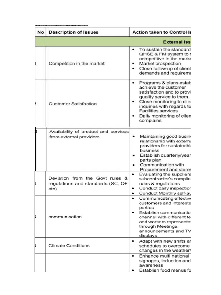 INFORMATION - Internal and External Issue | PDF