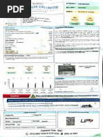 MGL Name Transfer Application Form | PDF | Natural Gas | Indemnity