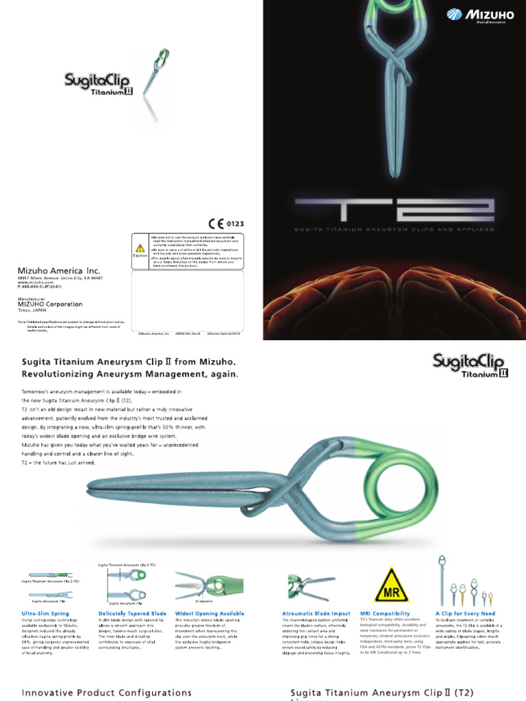 T2 Titanium Clips for Aneurysm Treatment | PDF | Metals | Titanium