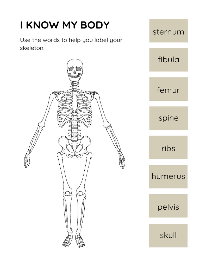 I Know My Body Labeling Worksheet in Brown Illustrative Style | PDF