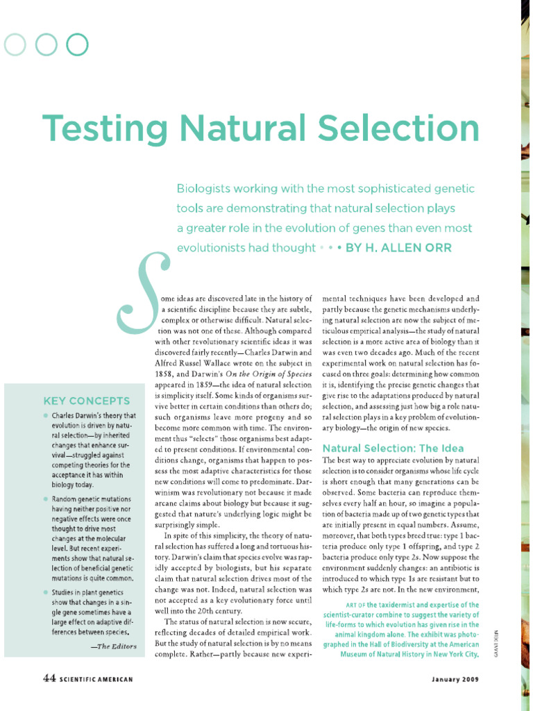 S 001 Testing Natural Selection | PDF