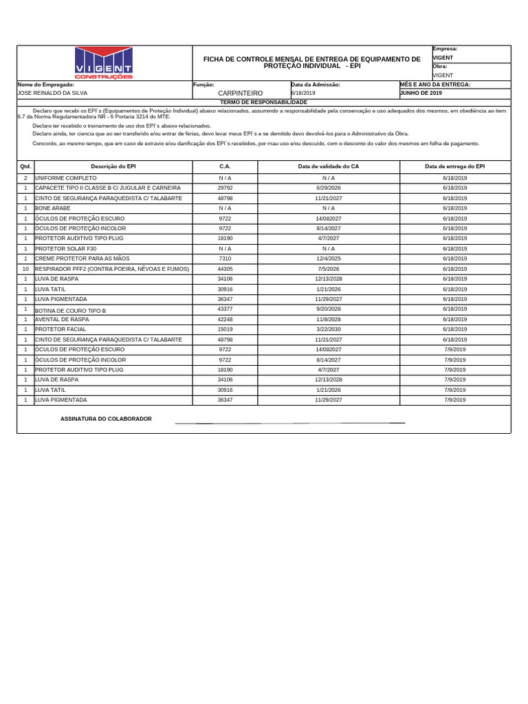 Controle de Entrega de EPIs na VIGENT | PDF | Segurança
