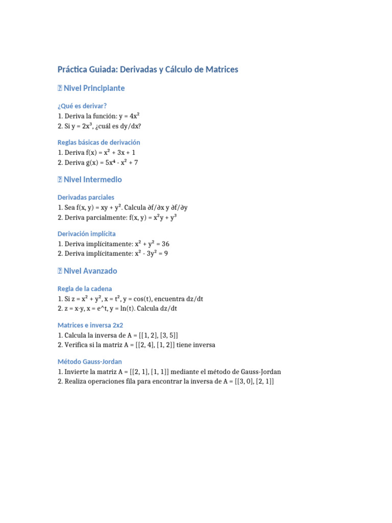 Práctica Guiada Derivadas Matrices | PDF