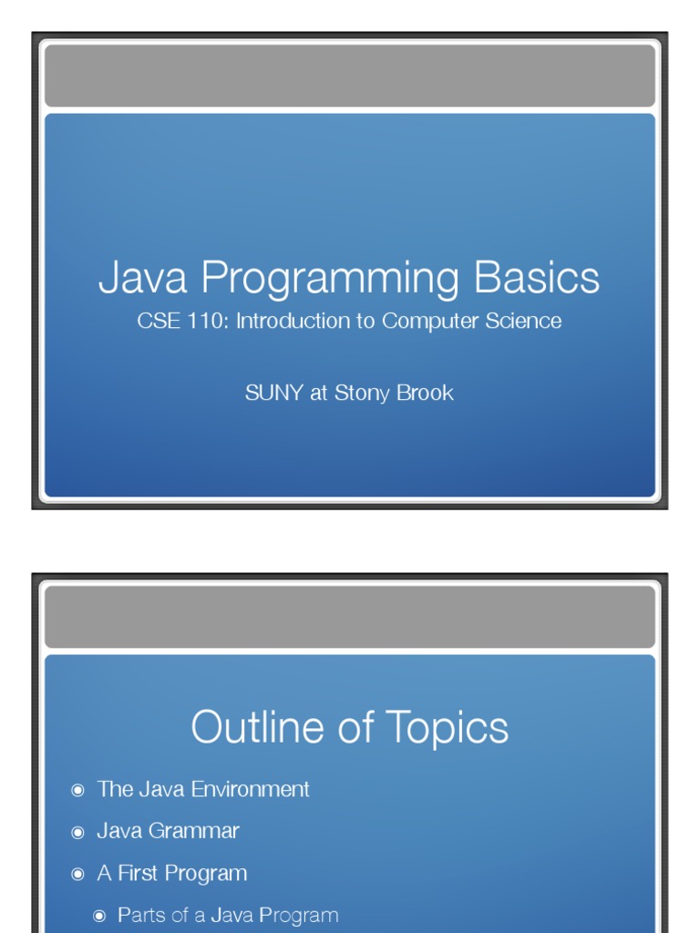 02 Java Programming Basics | PDF | Java Virtual Machine | Compiler
