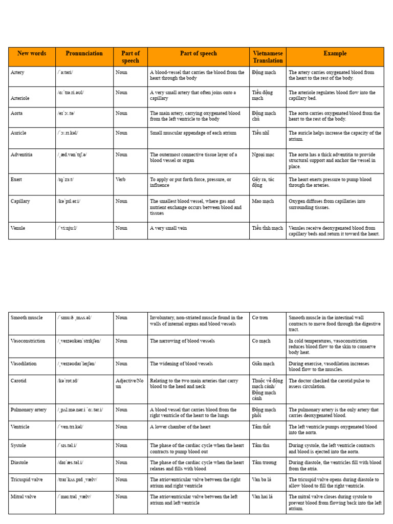 Vocabulary Unit 7 Cardiovascular System | PDF | Heart Valve | Ventricle ...