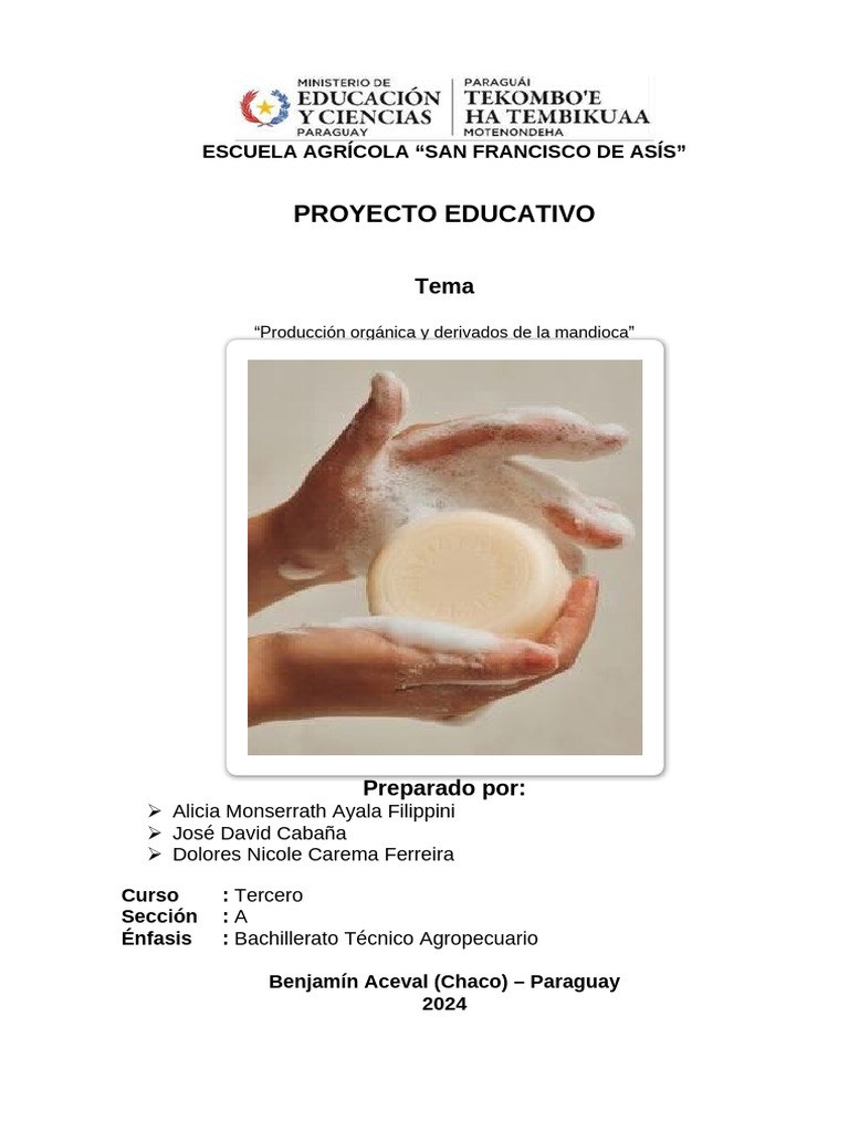 Proyecto Educativo - BTA - A - 7 - Producción Orgánica y Derivados de La Mandioca | PDF ...